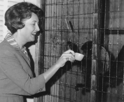 Untitled Document [www.operanostalgia.be]